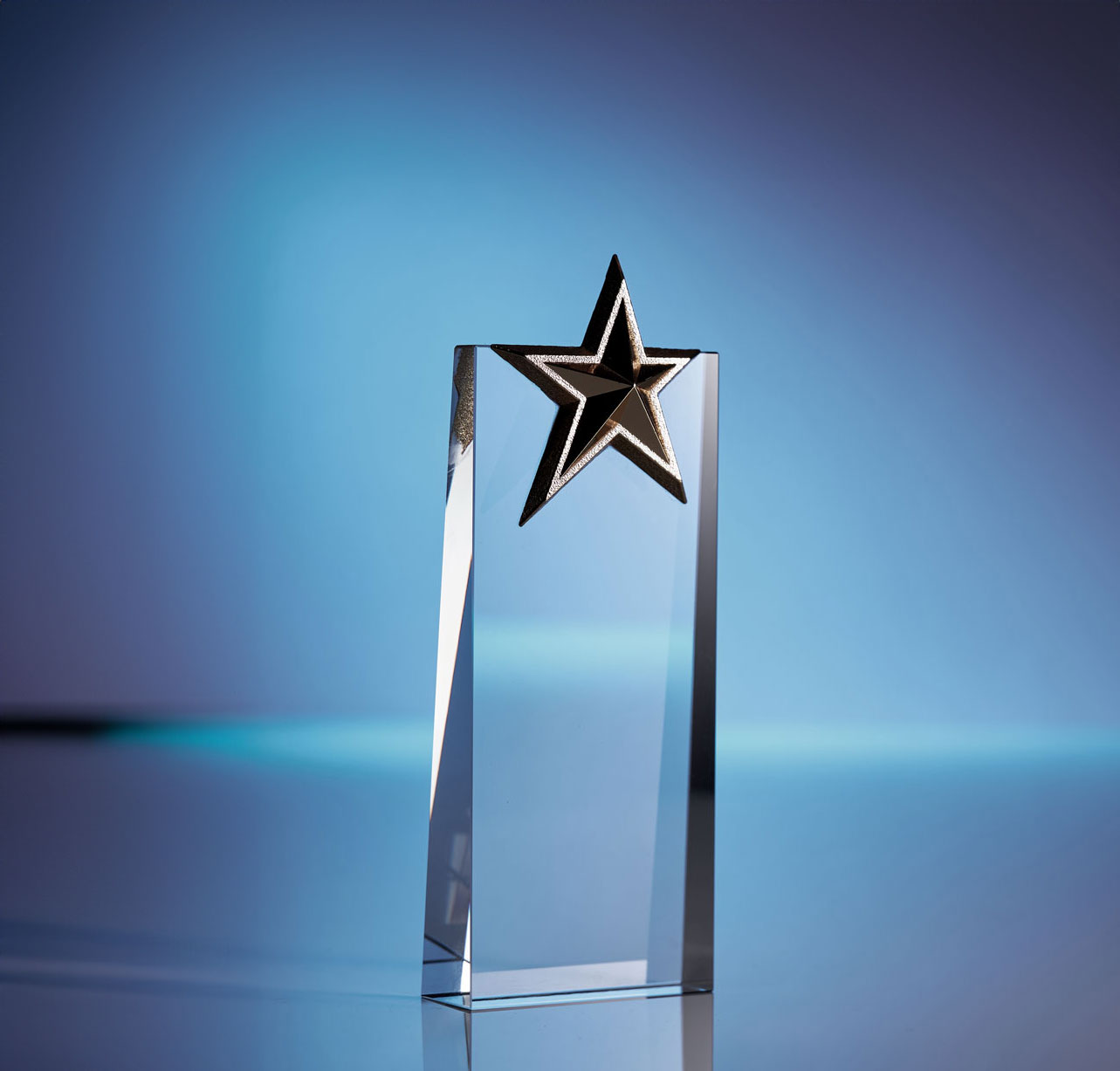 Portfolio Archiv - GfPS